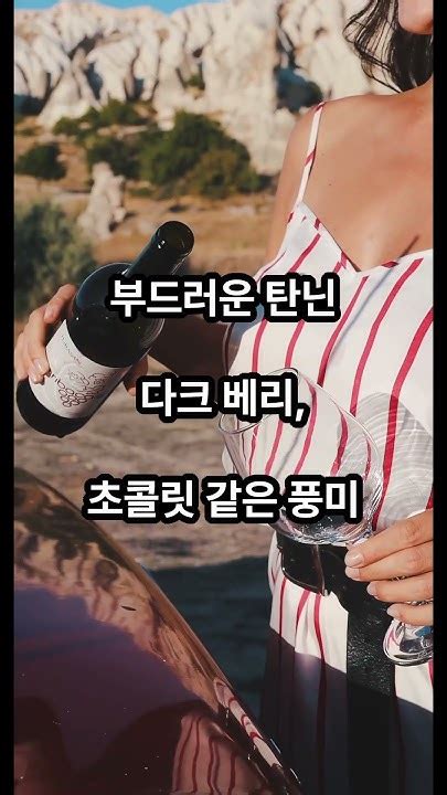 만원 🍷 가성비 와인 Top 2 Youtube