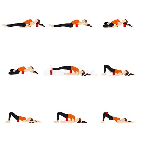 Supported Bridge Pose Stock Illustrations 2 Supported Bridge Pose