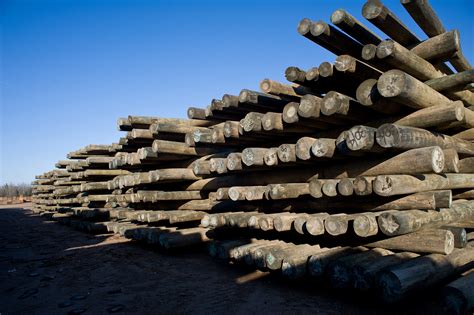 Types Of Utility Poles The Ultimate Guide