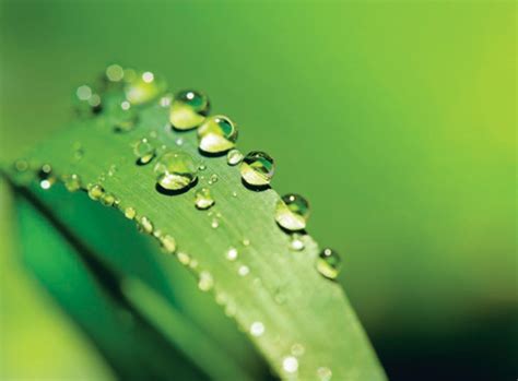 New Research Proves Vydro® Substrate Can Keep Grass Greener Turf Business