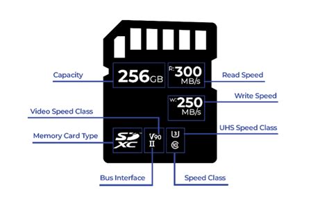 Anatomy Of An SD Memory Card What Matters Most For Photography And Videography SD Association