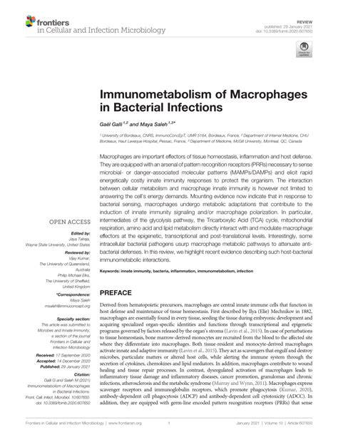 PDF Immunometabolism Of Macrophages In Bacterial Infections