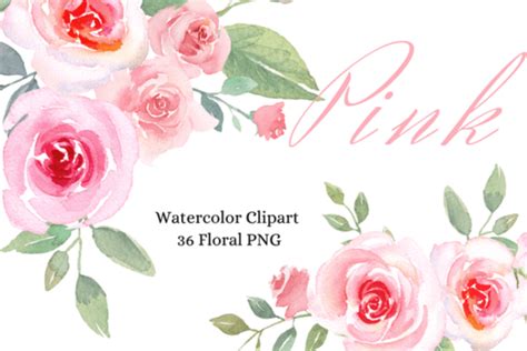 Watercolor Pink Rose Clipart Set Graphic By Nanidream Studio · Creative