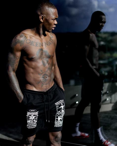 Israel Adesanya Wallpaper Browse Israel Adesanya Wallpaper With Collections Of Butterfly