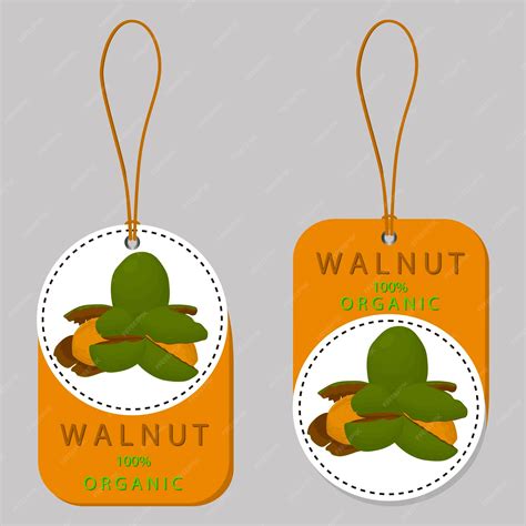Premium Vector Illustration On Theme Big Set Different Types Walnut