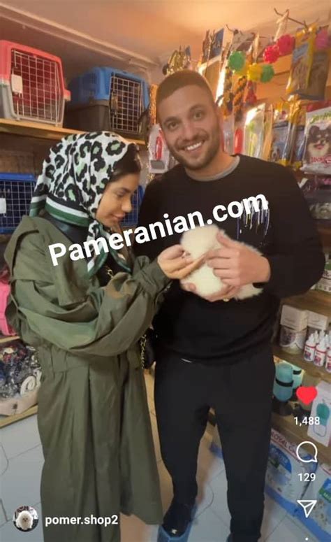 مشتریان سایت پامرانین