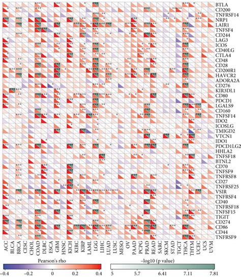 Associations Of Cxcr2 Expression With Tumor Immune Response Across