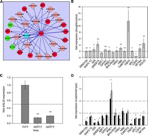 Constructing And Evaluating A Tf Regulatory Network Download