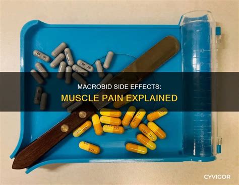 Macrobid Side Effects Muscle Pain Explained Cyvigor