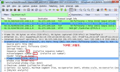 Wireshark详细图文入门教程 Csdn博客