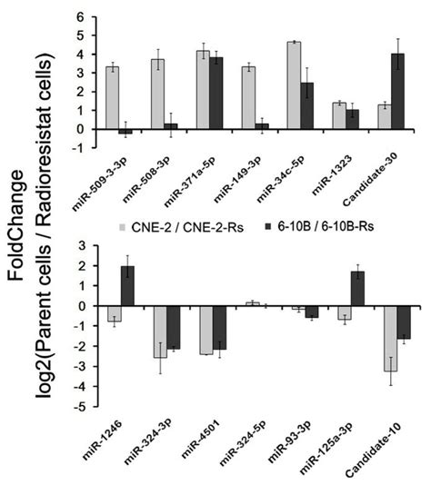 Relative Expression Levels Of Several Representative Mirnas With
