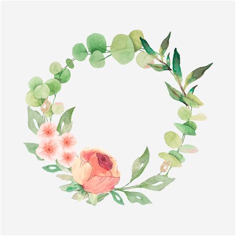 Premium Vector Lovely Wreath Collection With Eucalypt Leaves And Flowers