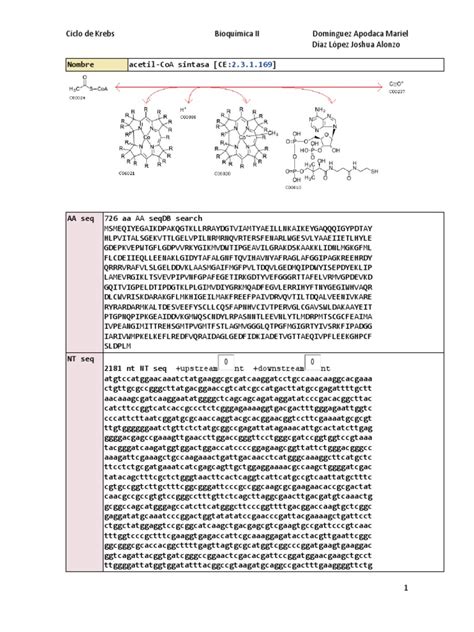 Ciclo De Krebs Bioquímica Ii Pdf Molecular Biophysics Chemistry