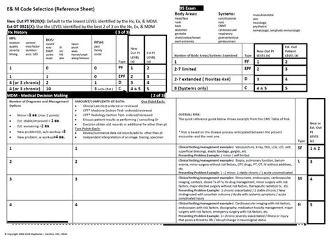 EM Audit Form Medical Coder Coding Audit