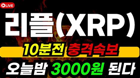리플xrp 전망 오늘밤 대폭락 3000원된다 홀더 필수시청 Youtube