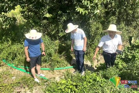 江西宜黄：党群同心打好抗旱攻坚战凤凰网江西凤凰网