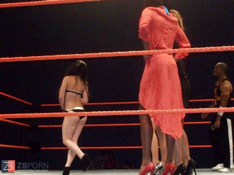 Britani Knight Aka Paige Wwe Wrestling Honey Bevy Zb Porn