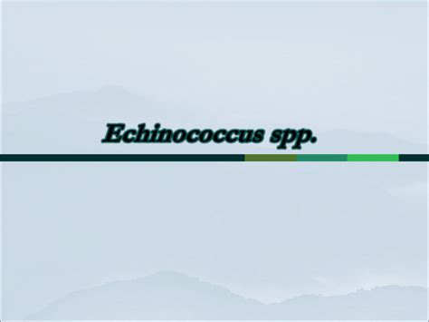 Solution Cestodesechinococcus Granulosus Studypool