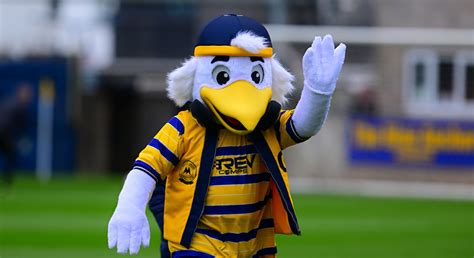 Bay Of Lights Gilbert The Gull To Turn The Lights On Torquay United