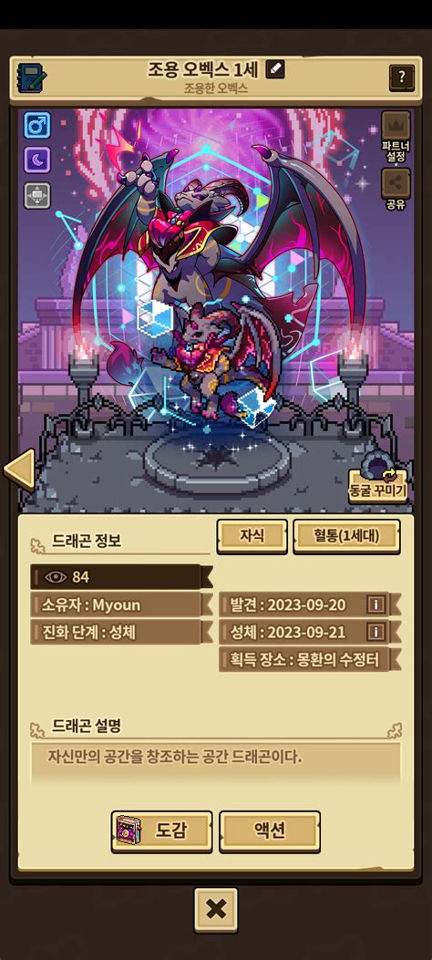 드래곤빌리지 컬렉션