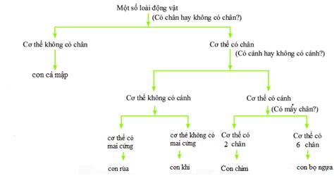 Vận dụng kiến thức về khóa lưỡng phân em hãy xây dựng 1 khóa lưỡng phân