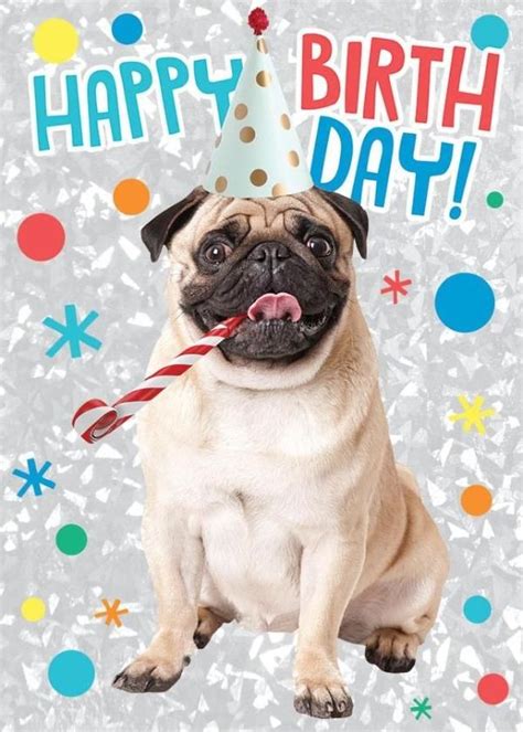 Birthday Note Card Birthday Pug Foil Paper House Birthday Pug