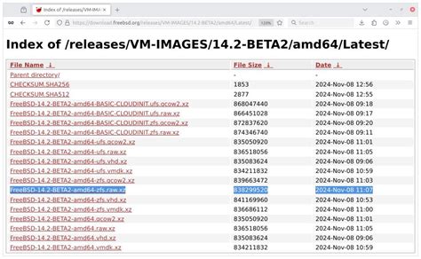 Install Freebsd With One Command Slawomir Wojciech Wojtczak