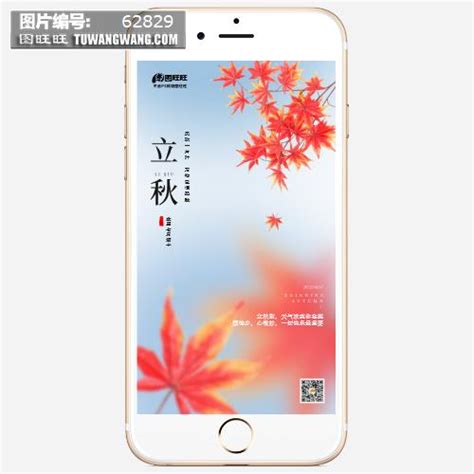 简约风枫叶立秋节日祝福海报模板下载 编号62829 其他 其他 图旺旺在线制图软件www tuwangwang