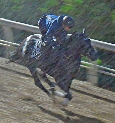【北九州記念】ナムラクレア充実期 長谷川師「馬も焦っていなくていい内容」 競馬ニュース Netkeiba