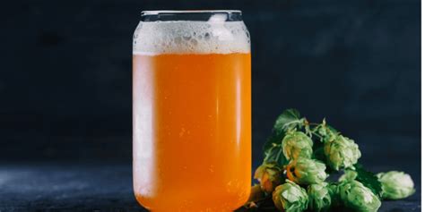 What Makes Ipa Hazy New Trail Brewing Co