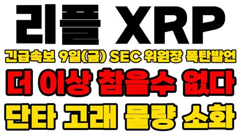 리플 Xrp 긴급속보 9일금 Sec 위원장 폭탄발언 더 이상 참을수 없다 단타 고래 물량 소화 영상 꼭 끝까지 보세요 Youtube