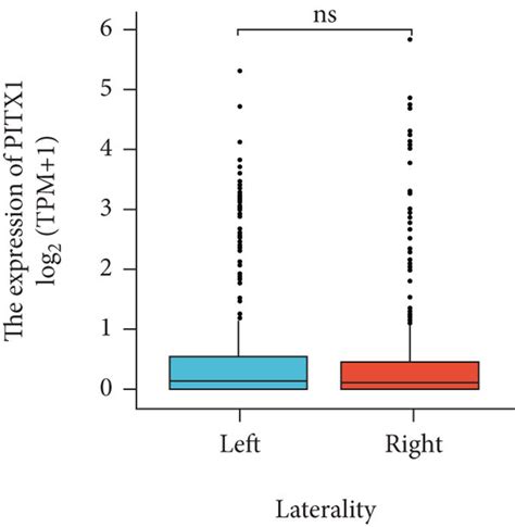 The Relationship Between Pitx1 Mrna Expression Level And Clinical