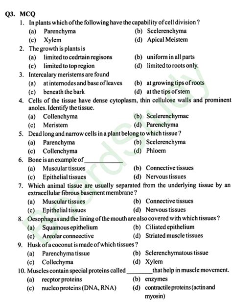 Ncert Class 9 Science Tissues Notes Pdf Handwritten And Short Notes