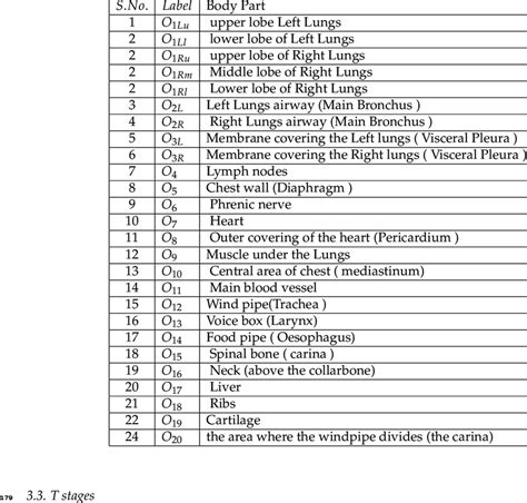 Objects Labeling At The Segmentation Stage Download Scientific Diagram