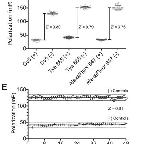 Fluorescence Polarization Fp Based Assay To Monitor The Interaction