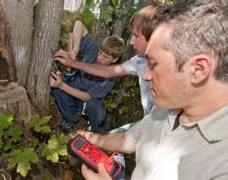 Electrical Device Plugs Directly Into Trees For Power Good News Network