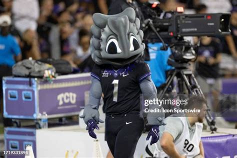 Cw Frog Photos And Premium High Res Pictures Getty Images