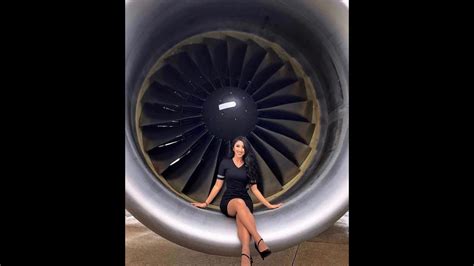 Ingested Into Aircraft Engine