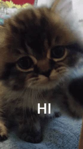 Hi  Hi Discover And Share S