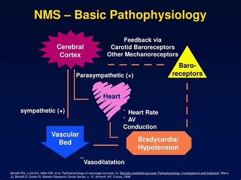 Ppt Syncope Powerpoint Presentation Free Download Id 139335