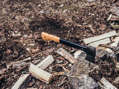Premium Photo High Angle View Of Log On Field In Forest