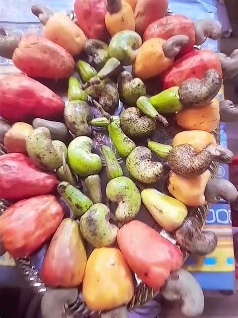 කජු පුහුලන් වාරේ 😋😍 Cashew Relaxingmusic Shortvideo Funny