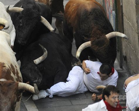 スペイン伝統の牛追い祭り参加者死亡に見直しの声も 写真5枚 国際ニュースAFPBB News