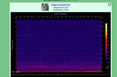 False Detections · Issue 672 · Mcguirepr89birdnet Pi · Github