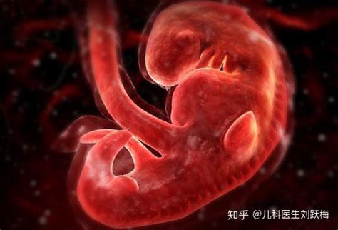 孕期发现腹中胎儿小妈妈不用自责多是这几个原因导致的 知乎
