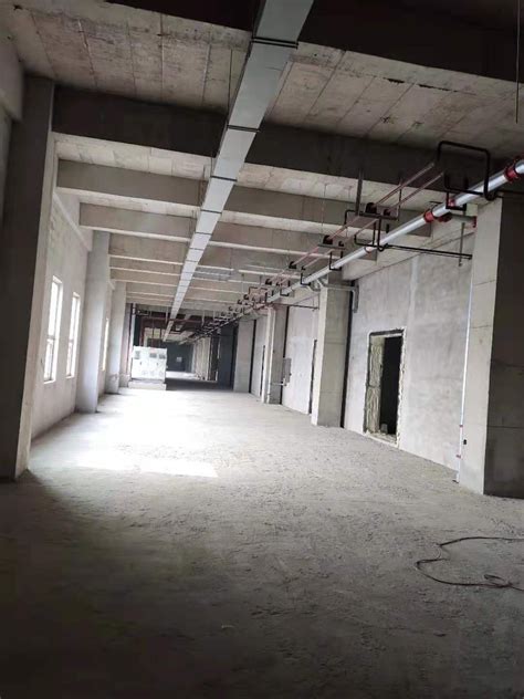 物流冷库安装工程 冷库工程 制冷大市场