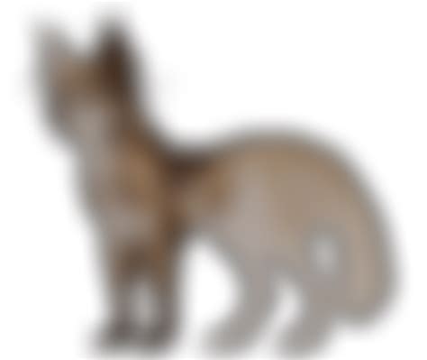 Paiden Kitty By Lockquinn On Deviantart