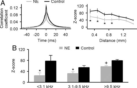 Neural Synchrony In A1 A Average Normalized Cross Correlation