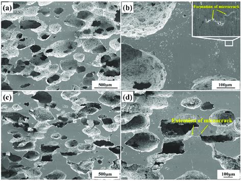 Sem Characterization Results Of Deformed Samples During Compressive