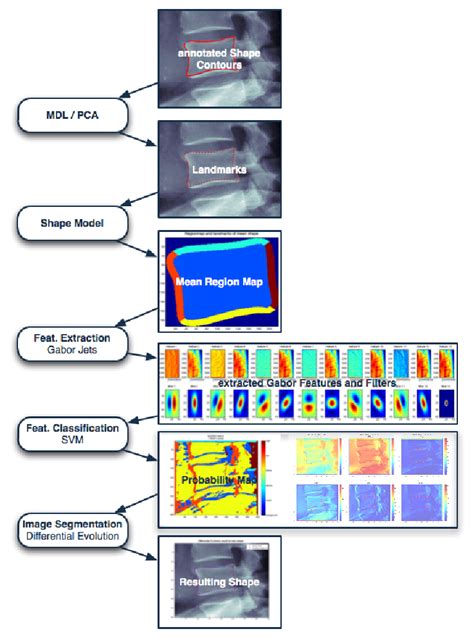 Flowchart Of The Proposed Shape Particle Filter Approach Download